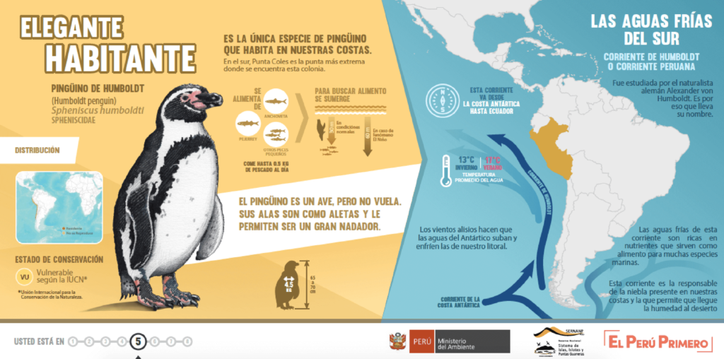 Paneles y guion interpretativo en el sendero de Punta Coles – RNSIIPG ...